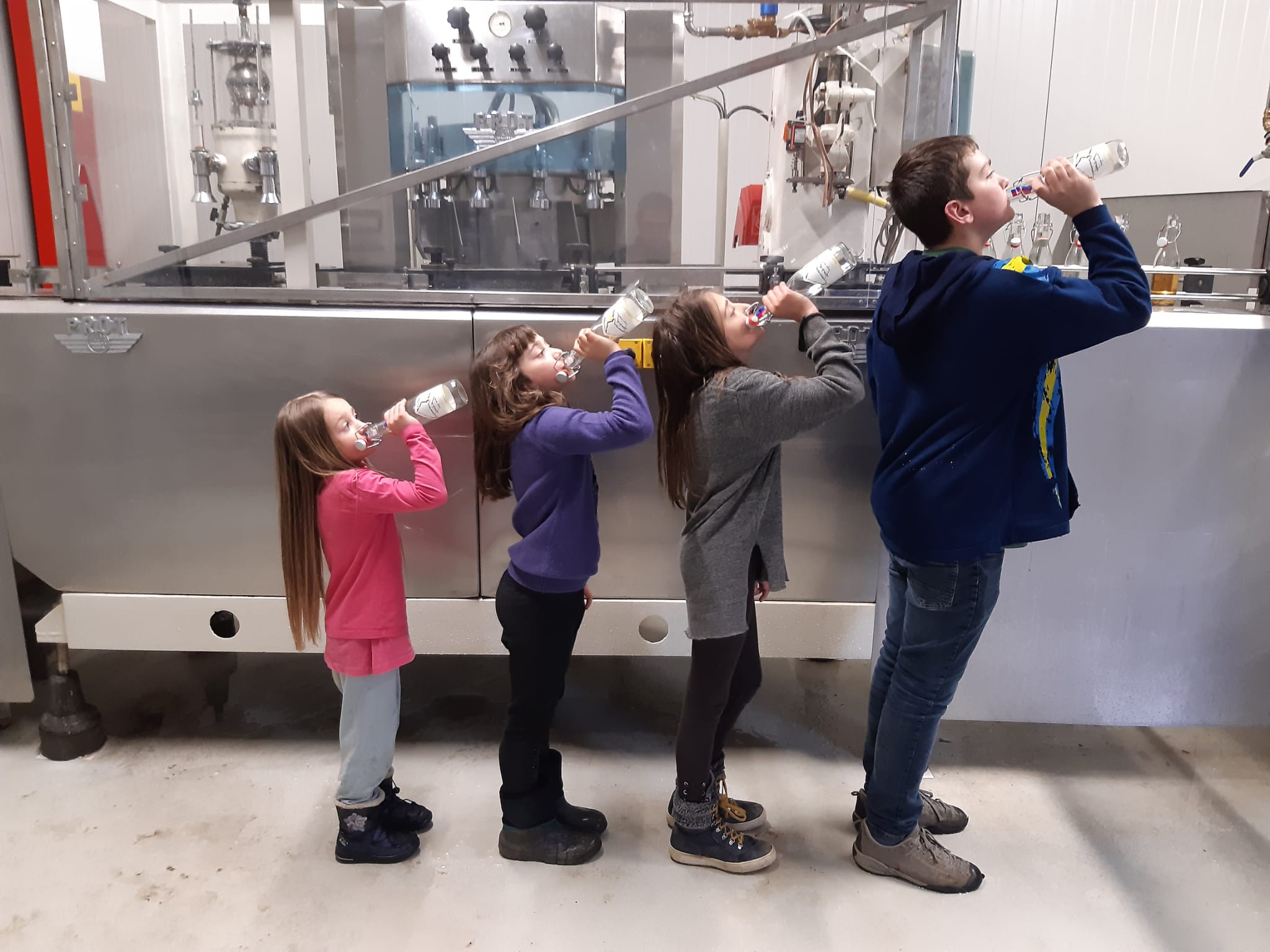 STORIA - Acqua Adula